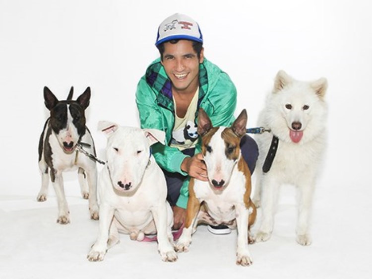 Animal Planet desarrolló campaña El Paseador de Perros junto a Raza ...