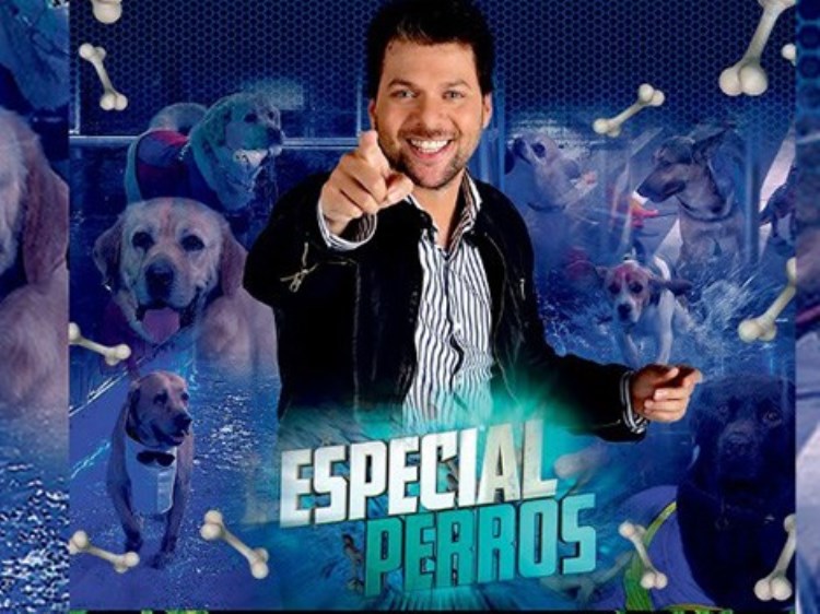 Kuarzo: Los Perros (mi amigo fiel) lidera en Telefuturo Paraguay ... Kuarzo: Los Perros (mi amigo fiel) lidera en Telefuturo Paraguay ...