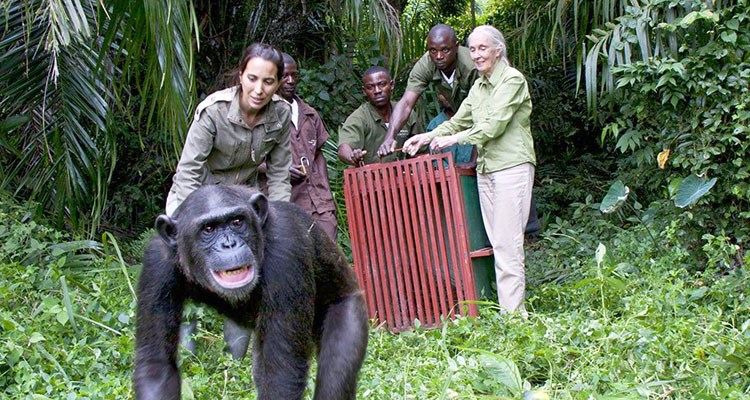 ZDF Enterprises and Off the Fence conclude major package deal with UKTV ...