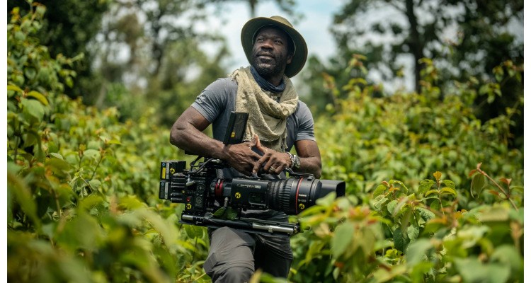 Off the Fence books first orders for Silverback - English